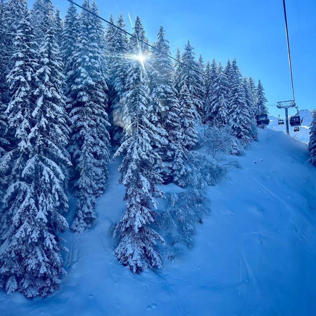 Arctic Eco-Sno - Commitment To The Planet