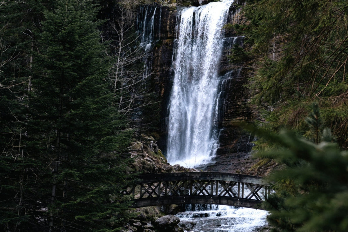 Finding Calm in Daily Life: Simple Outdoor Moments for Mental Wellbein ...